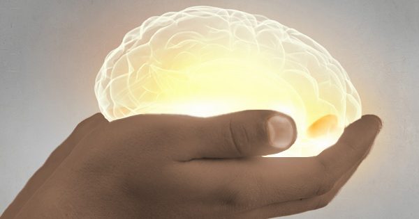 Four projects selected for WARF Accelerator Mental Health Challenge - WARF