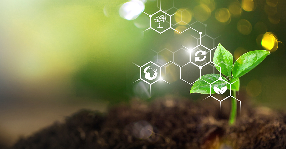 University of Wisconsin–Madison Biorenewables Portfolio - WARF