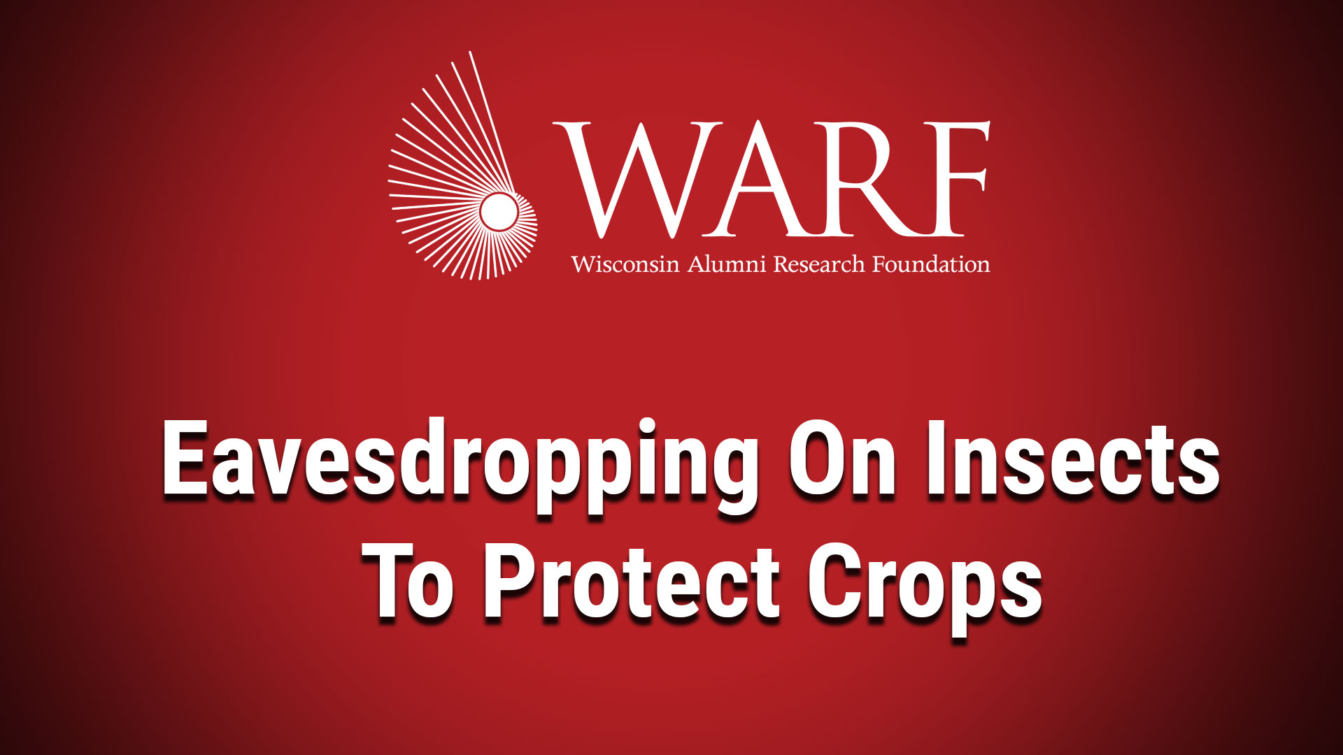 Eavesdropping on Insects to Protect Crops - 2023 WARF Innovation Awards ...