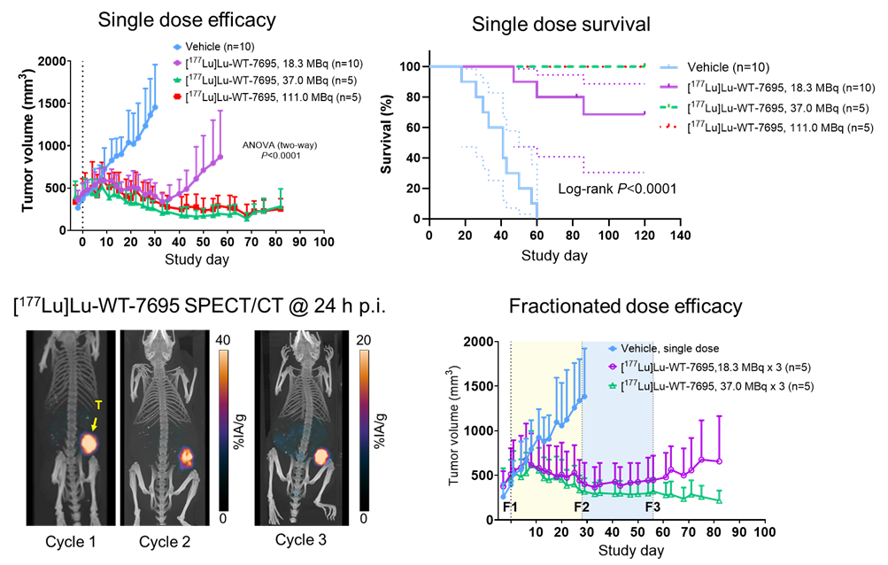 WT-7695 achieved 100% survival at 1 mCi in a model of kidney cancer