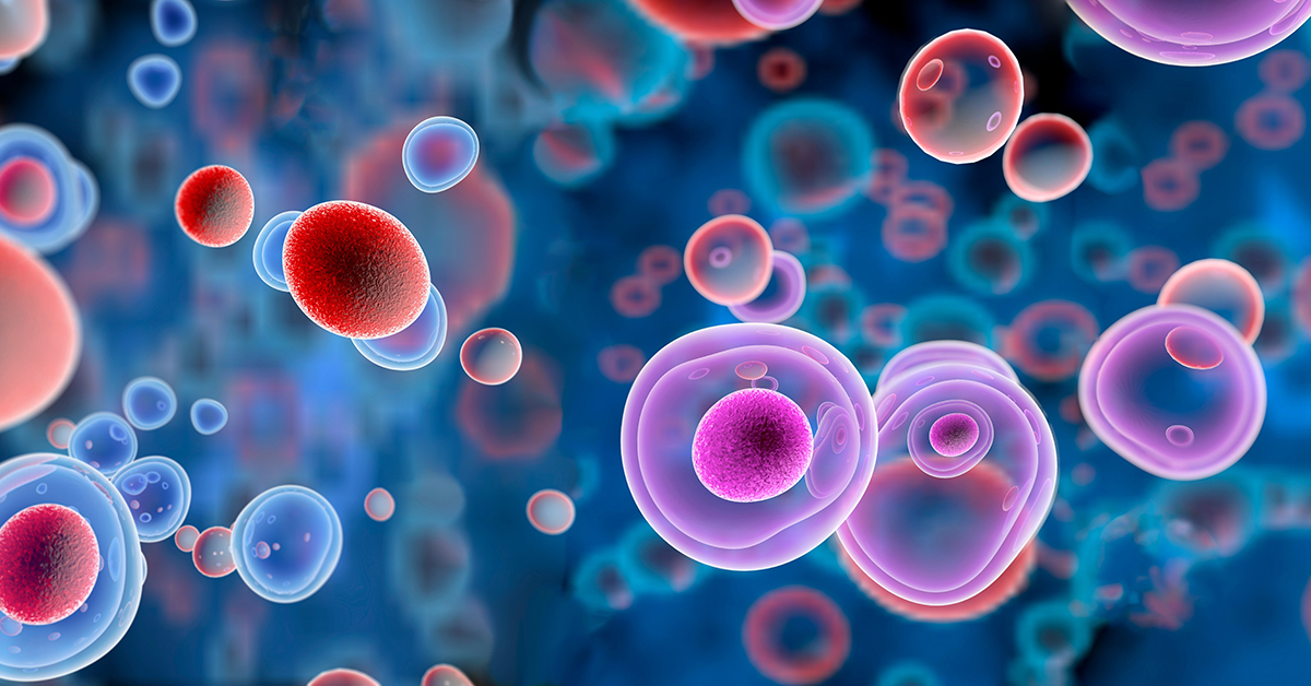 Advancing T cell-based immunotherapies - WARF